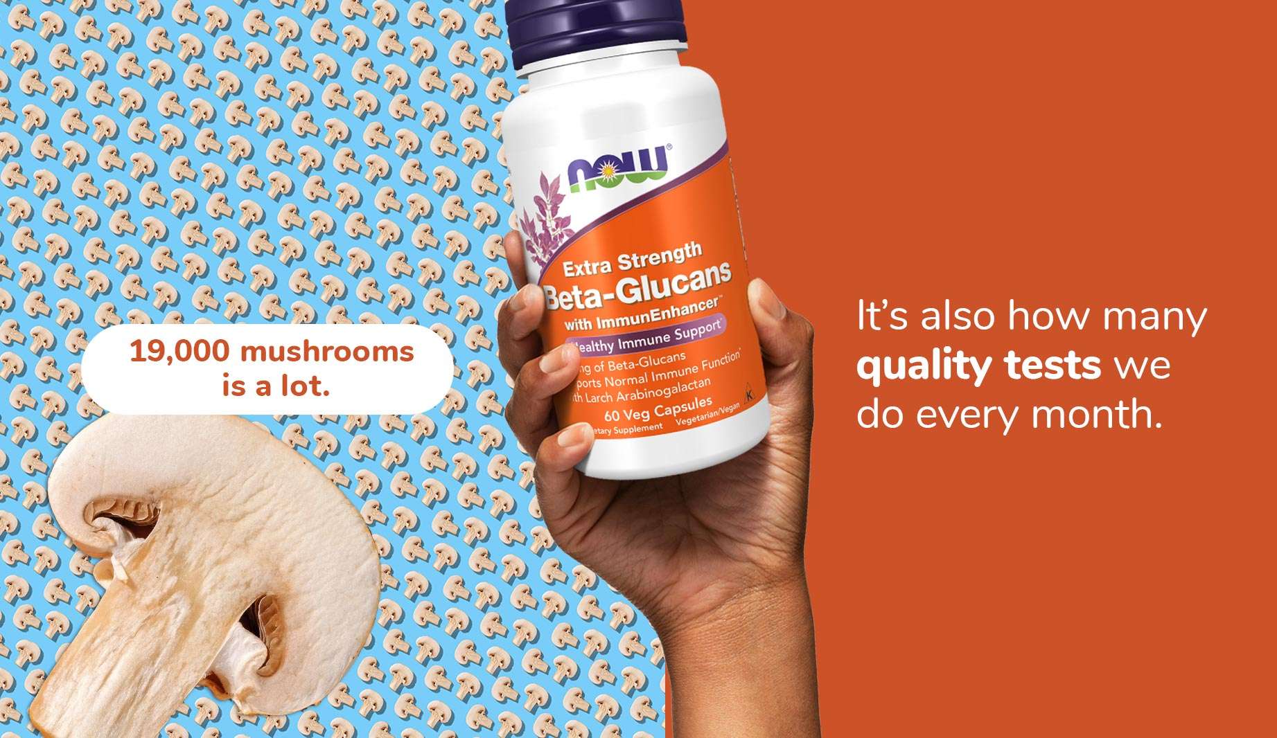 NOW Foods | NOW Supplements | NOW Vitamins | NOW Products