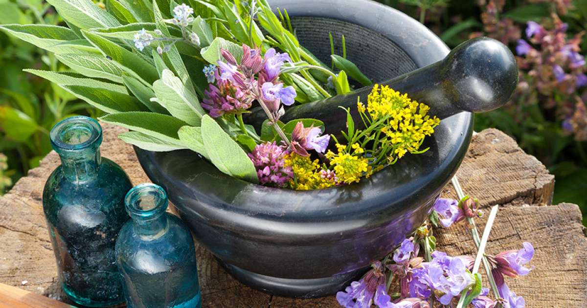 Organic Essential Oils | Information & Products | Now Foods