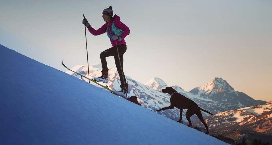 Stephanie Howe's Instagram, Twitter & Facebook on IDCrawl