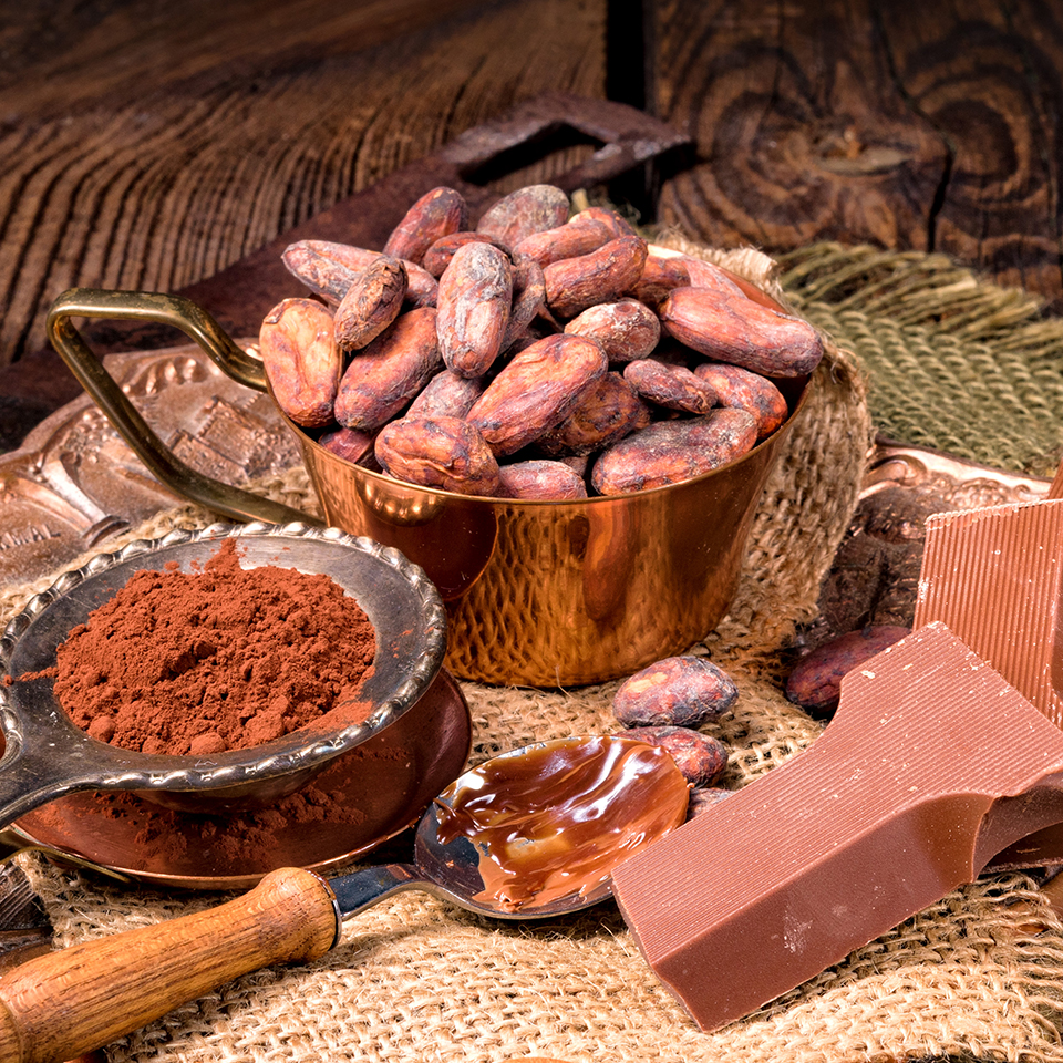 A Dedication to Sustainable Cocoa | NOW Foods