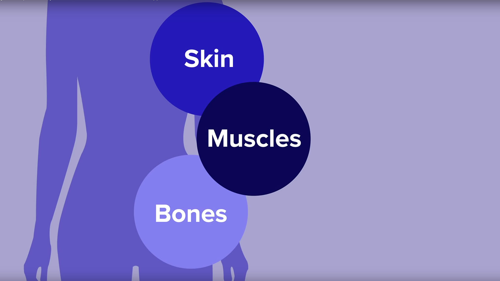 NOW Collagen | Shop for NOW Collagen Peptides Powder | NOW